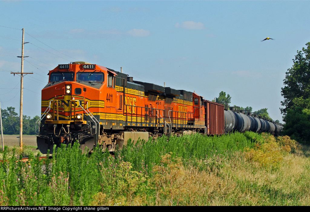 BNSF 4411 Heads up a Empty Oil can NB.